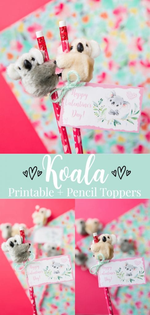 Koala Valentines - A Pumpkin And A Princess